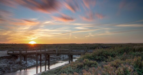 All of Elly Griffith's Ruth Galloway Books in Order - GREAT BRITISH ...